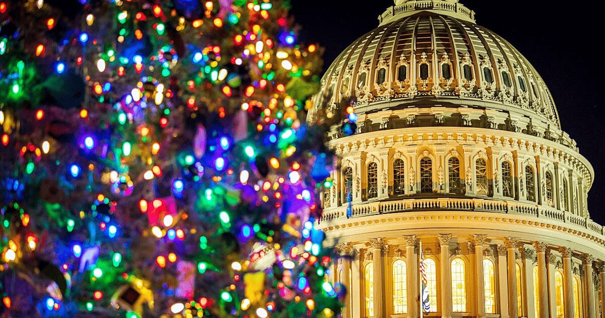 Visit the US Capitol Holiday Tree
