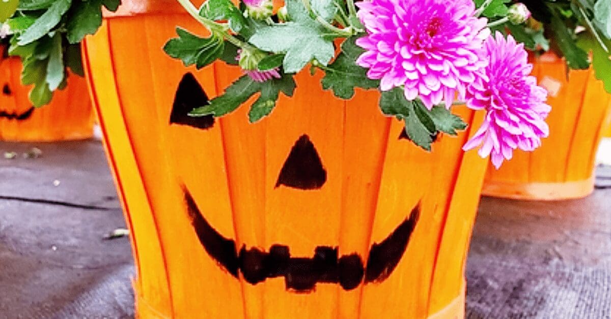 Fall Fests @ Farms, Zoos, & More