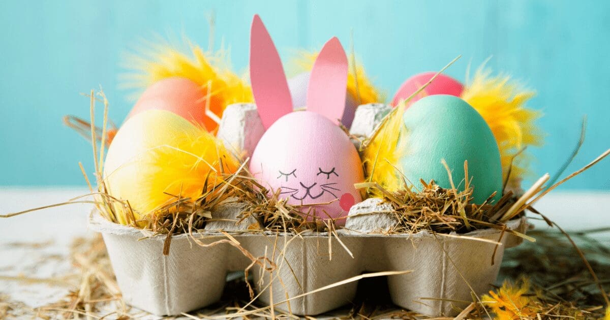 Eggcellent Adventures