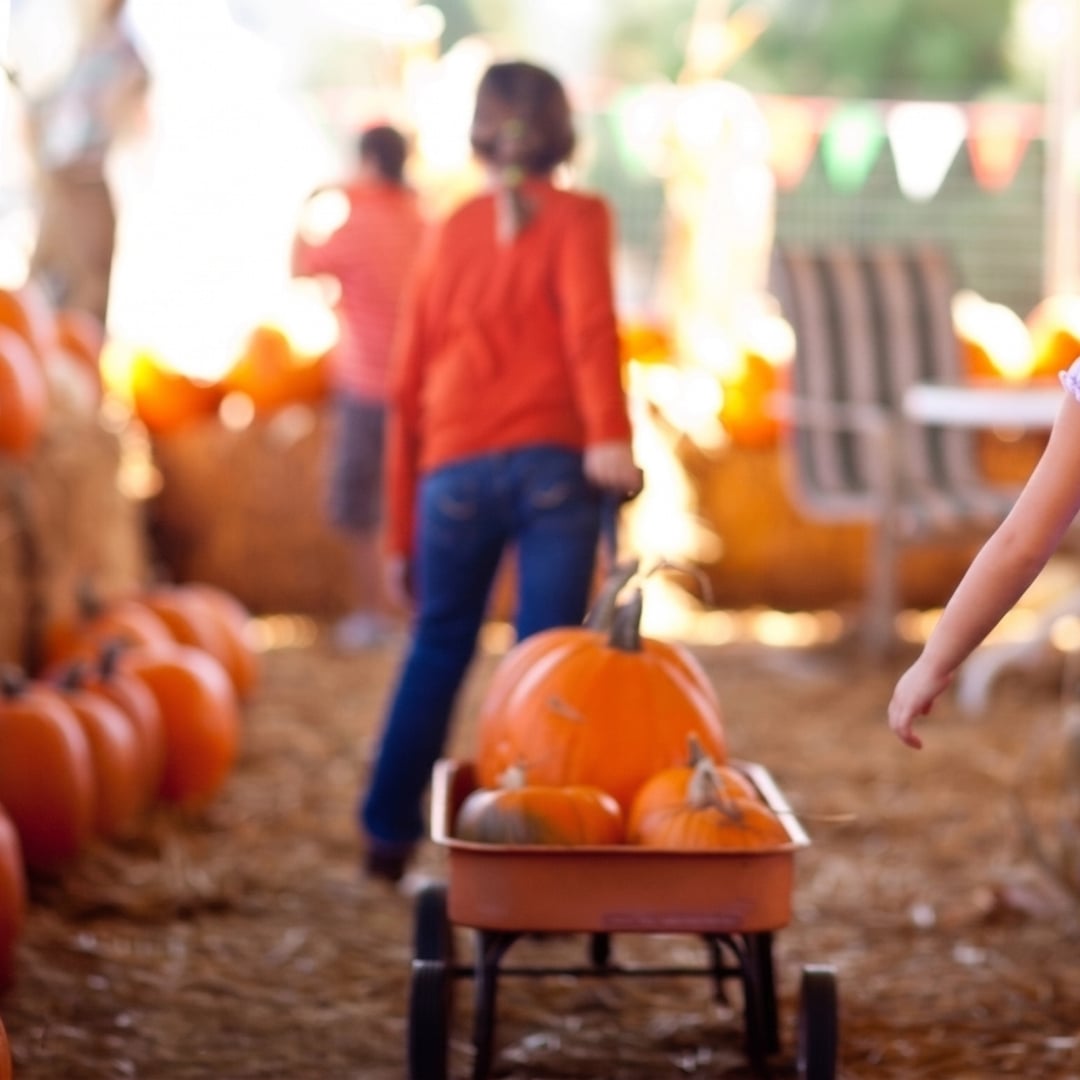 Fall Festivals & Special Events